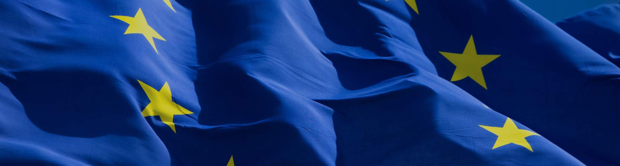 Cyber security compliance success story: EUIBAs